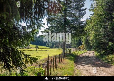 France, Lozere, Langogne, Mercoire forest Stock Photo - Alamy