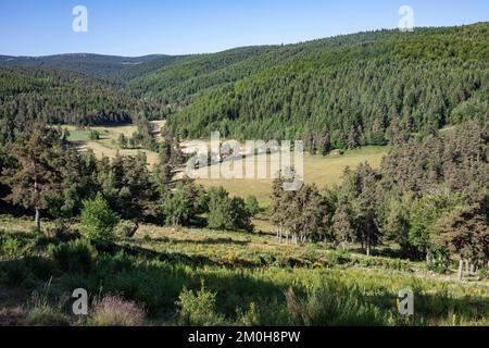 France, Lozere, Langogne, Mercoire forest Stock Photo - Alamy