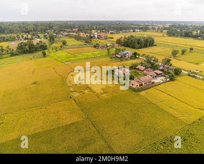 Nepal, Chitwan region, Ratnanagar, rice terraces (aerial view Stock ...