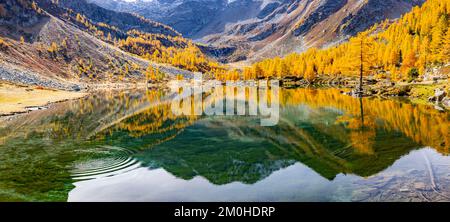 Italy, Aosta Valley, Val d'Arpy, Lac d'Arpy (2066 m) in the heart of ...
