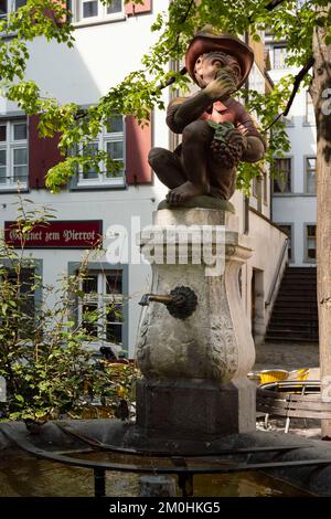 Monkey fountain on Andreasplatz, old town Grossbasel, Basel, Canton of ...