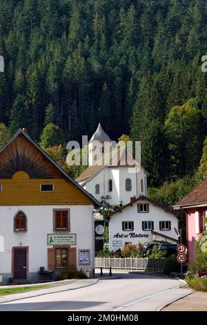 France, Vosges, Le Valtin, the Meurthe river, Rudlin chapel, Ranunculus ...