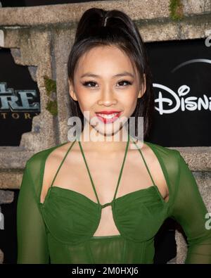 Emmy Liu-Wang attends the premiere of the Disney+ original series ...
