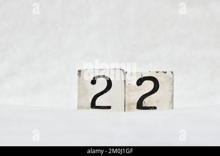 January 22 calendar date text on wooden blocks with blurred background ...