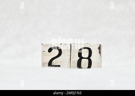 January 28 calendar date text on wooden blocks with blurred background ...