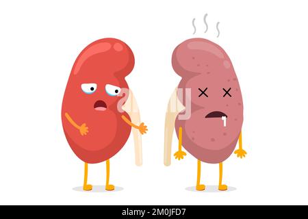 Couple of cute cartoon kidney characters hold heart for World Kidney ...