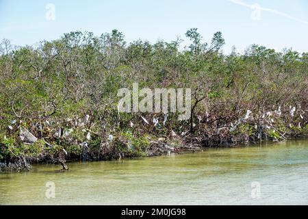 Bonita Springs Bonita Beach Broadway Channel Bay's Island,Hurricane Ian ...