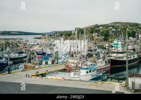 Newfoundland, Canada - August 2022: Multiple colorful fishing boats in ...