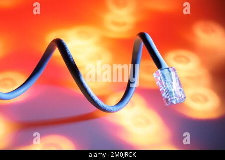 network cable; wire; wiring; lead; cord; plug; connection; component ...