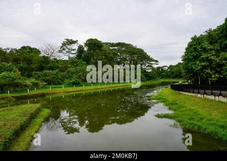 Parks in Singapore - Springleaf Nature Park Stock Photo - Alamy