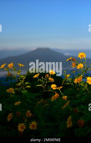 A beautiful view of Mount Fiji, Japan Stock Photo - Alamy