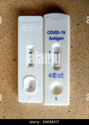 Do at-home COVID-19 tests detect the omicron variant? (AP Illustration ...