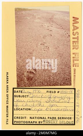 Driftwood. Alaska Task Force Photographs Stock Photo - Alamy