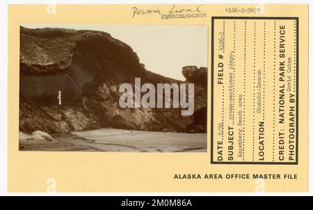 Cross-sectioned pingo, Espenberg Beach area. Alaska Task Force ...