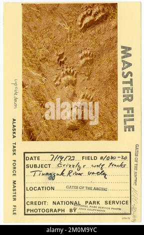 Grizzly and wolf tracks Tinayguk River valley. Alaska Task Force ...