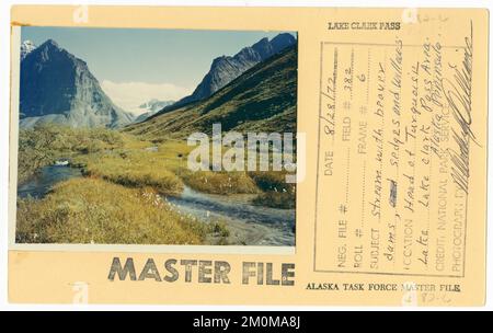 Stream with beaver dams and sedges. Alaska Task Force Photographs Stock ...