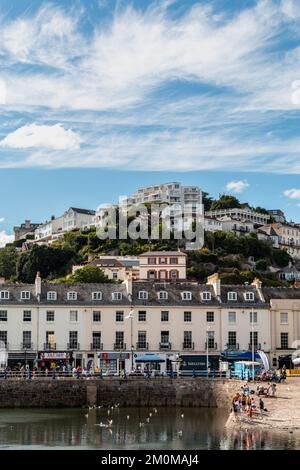 A view of Torquay across the harbour, Devon, UK Stock Photo - Alamy