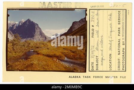 Stream and willows. Alaska Task Force Photographs Stock Photo - Alamy