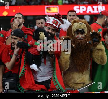 Moroccan fans during Morocco vs Spain match during World Cup 2022 in ...