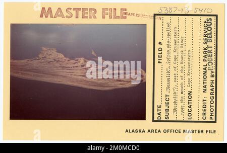 Mouth of the Noatak River. Alaska Task Force Photographs Stock Photo ...