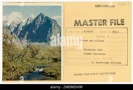 Stream and willows. Alaska Task Force Photographs Stock Photo - Alamy