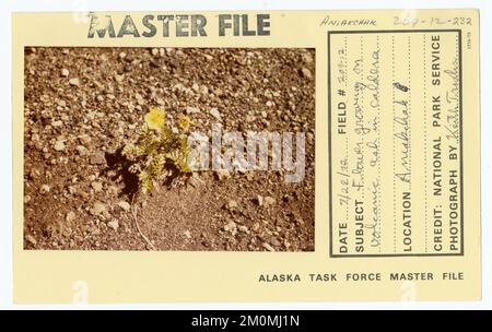 In caldera. Alaska Task Force Photographs Stock Photo - Alamy