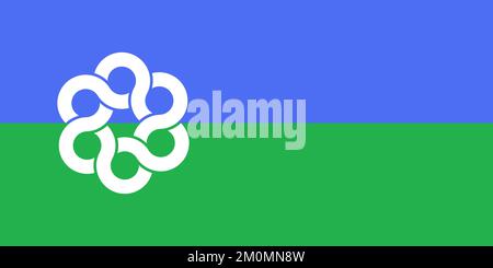 official flag of Metropolitan Toronto Canada at cloudy sky background ...
