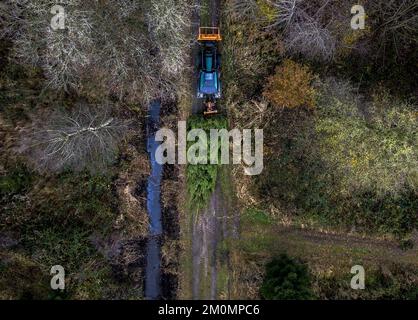 BANT - Netherlands, 07/12/2022, Drone photo of a cut down Christmas ...