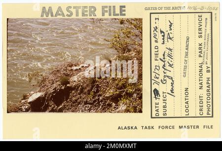 Gyrfalcon nest, lower Killik River. Alaska Task Force Photographs Stock ...