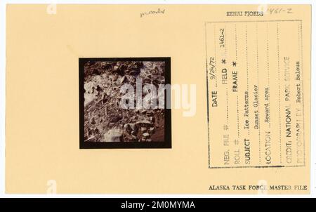 Ice patterns Sunset Glacier. Alaska Task Force Photographs Stock Photo ...