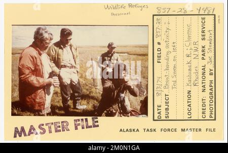 Brant banding activity Ted Swem on left. Alaska Task Force Photographs ...