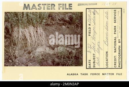 Soil horizon showing ash layer. Alaska Task Force Photographs Stock ...