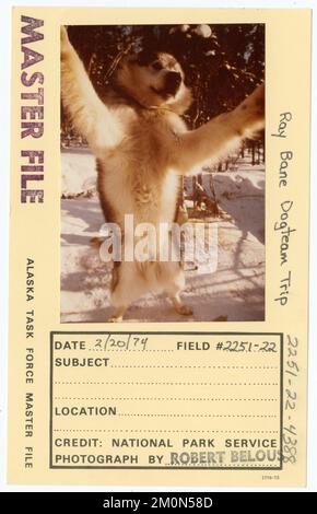 Ray Bane with team. Alaska Task Force Photographs Stock Photo - Alamy