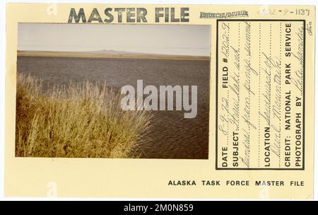 Thaw lake and tundra from pingo summit. Alaska Task Force Photographs ...