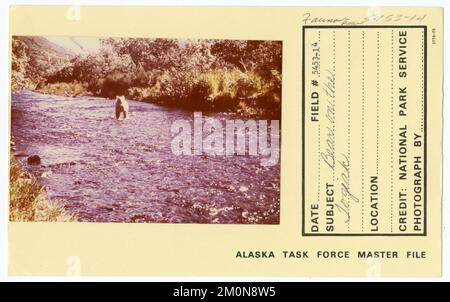 Bear on the Togiak. Alaska Task Force Photographs Stock Photo - Alamy