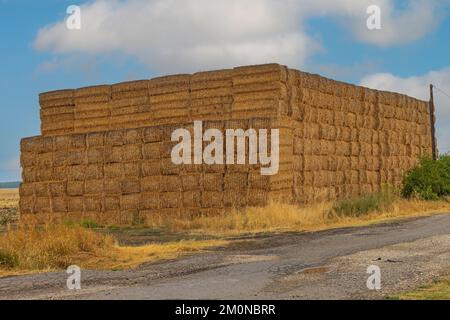 Large Stack of Conventional Bale Square Shape Traditional Farming Stock ...