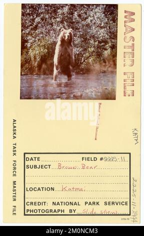Brown bear. Alaska Task Force Photographs Stock Photo - Alamy