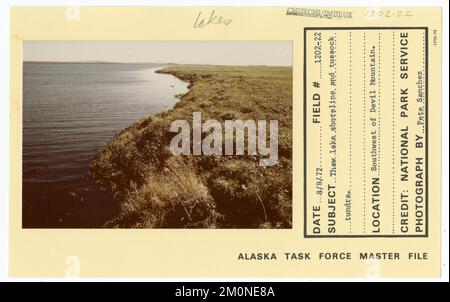 Thaw lake shoreline and tussock tundra. Alaska Task Force Photographs ...