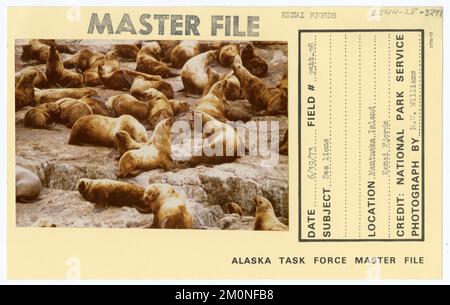 Sea lions. Alaska Task Force Photographs Stock Photo - Alamy