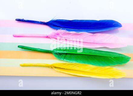 Collection of bright colored feathers on a wooden log Stock Photo - Alamy