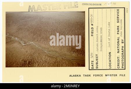 Spruce forest along Independence Creek. Alaska Task Force Photographs ...