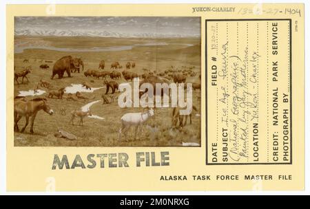 Ice Age fauna (National Geographic). Alaska Task Force Photographs ...