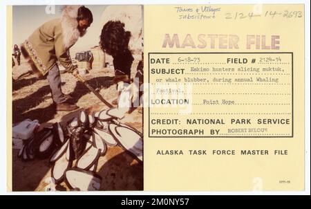 Eskimo hunters slicing muktuk, or whale blubber, during annual Whaling ...