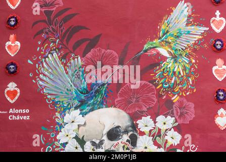 Hummingbird mural in Oaxaca, Mexico Stock Photo - Alamy