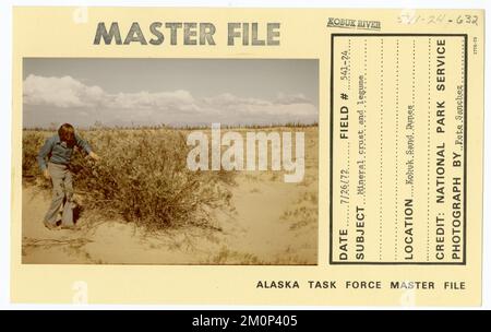 Mineral crust and legume. Alaska Task Force Photographs Stock Photo - Alamy