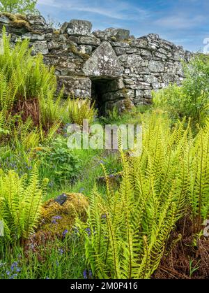 Entrance doorway in ruins of Totaig Broch (Caisteal Grugaig) an ancient ...