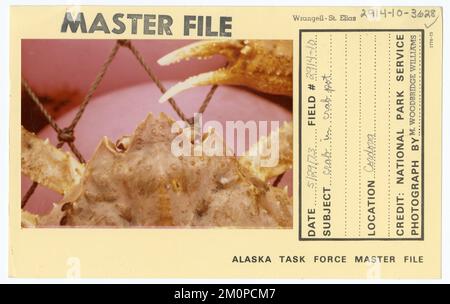Crab in crab pot. Alaska Task Force Photographs Stock Photo - Alamy