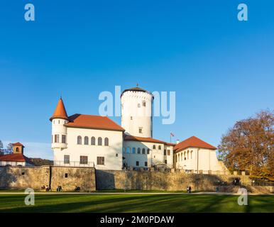 Zilina (Sillein, Silein): Budatin Castle (Budatinsky zamok) in ...