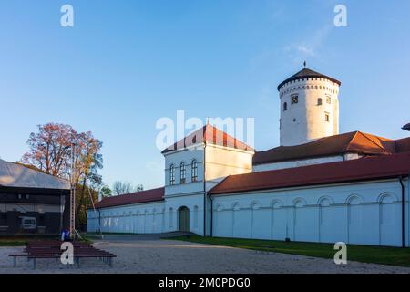 Zilina (Sillein, Silein): Budatin Castle (Budatinsky zamok) in ...