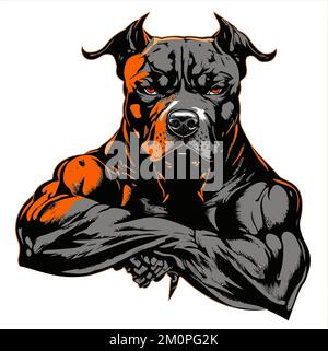 A vector design of a strong pitbull with muscles and crossed hands ...